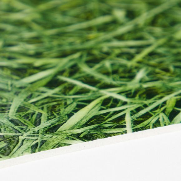 Sol Pvc Herbe 2m Cfl-s1 | CTN France