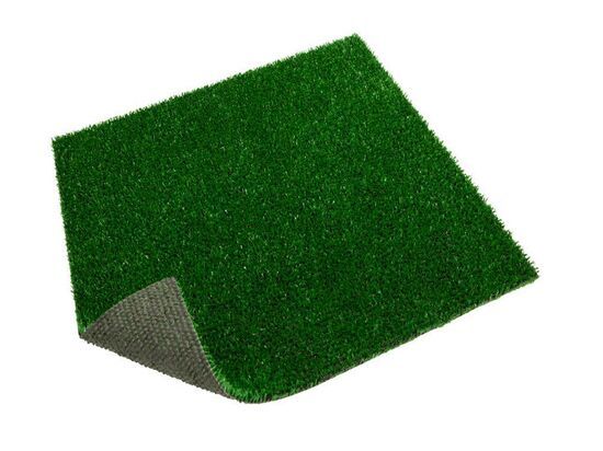 Artificial Grass Edge 2m | CTN UK